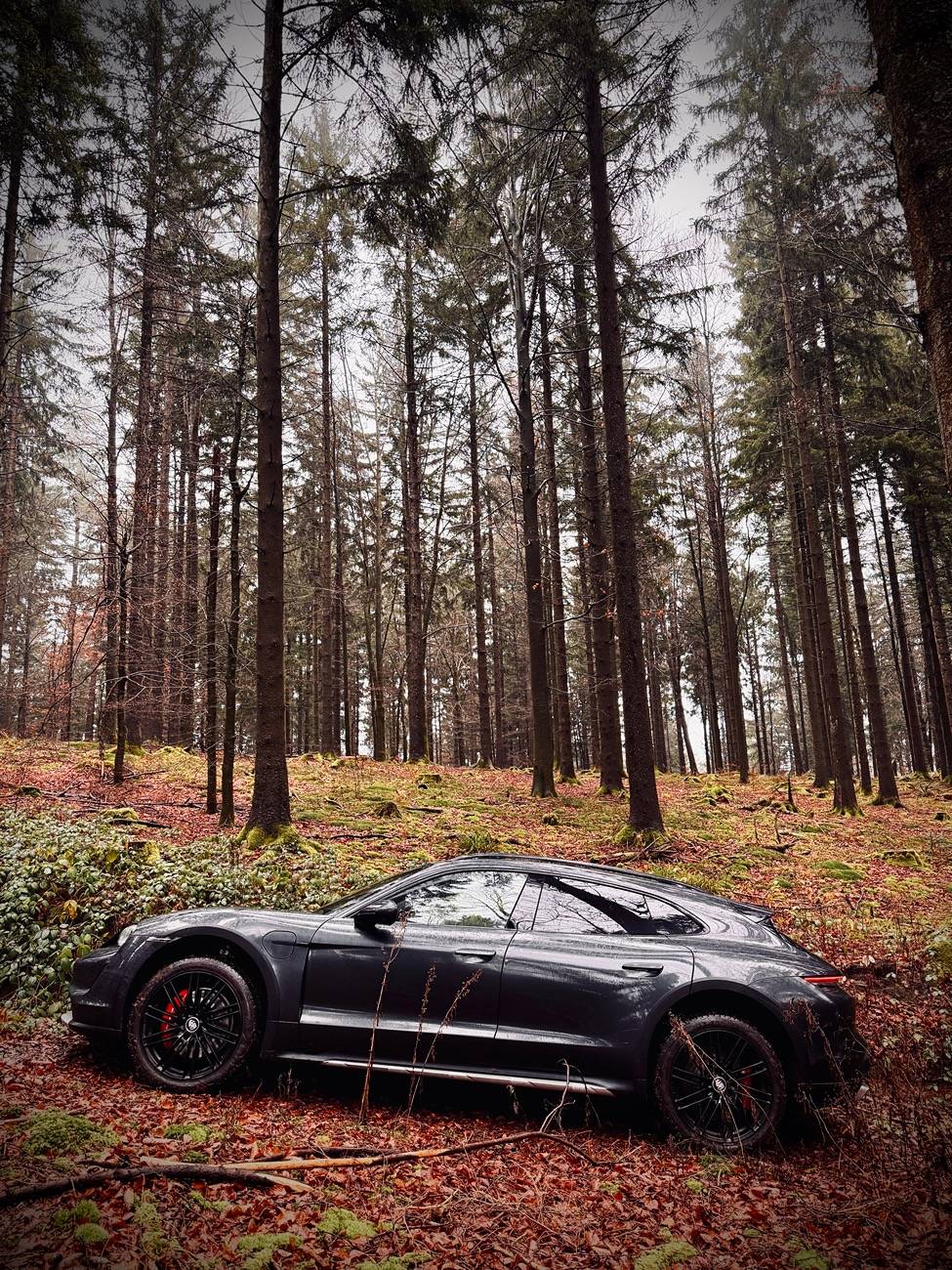 Have you taken your cross turismo off road? | TaycanForum -- Porsche ...
